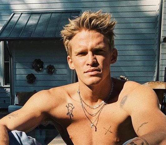 Cody Simpson Girlfriends List | Dating History | GBF