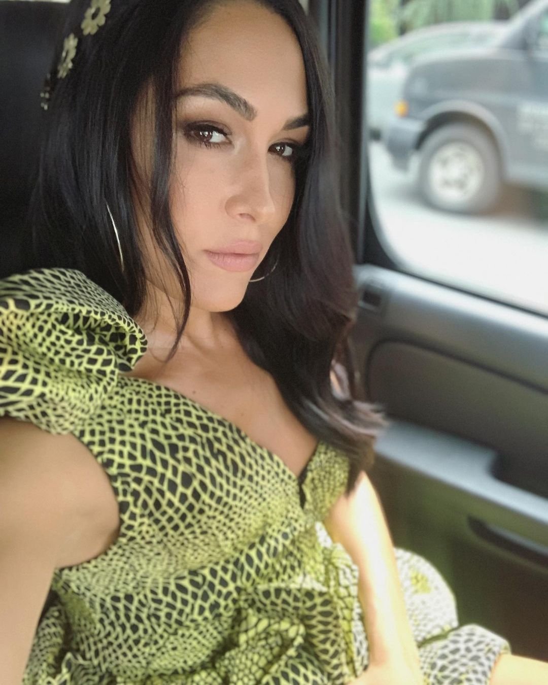 Brie Bella Boyfriends List | Dating History | GBF